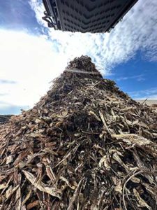 What Is Hog Fuel | Foreman Equipment